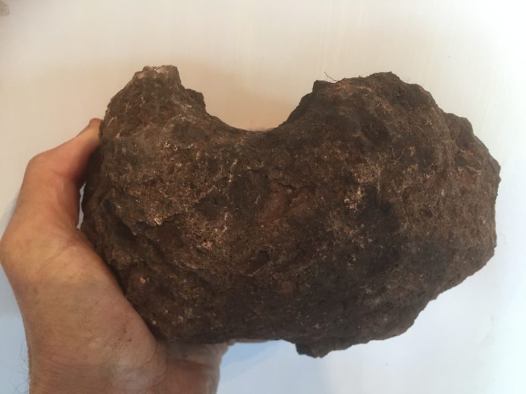 Bead-y Eyes uncover Iron Age artefacts - Revitalising Redesdale