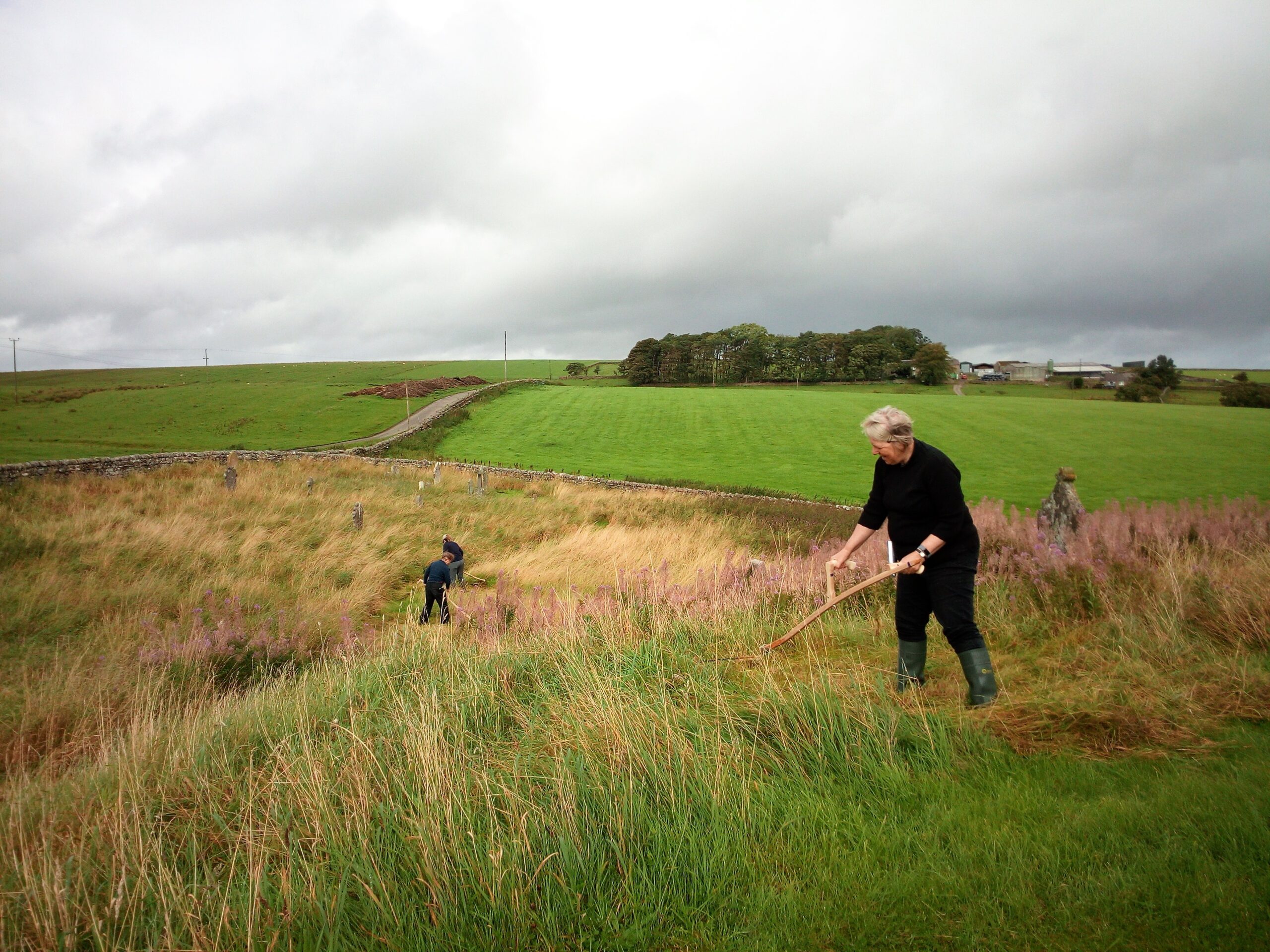 Scything and hay making - Revitalising Redesdale